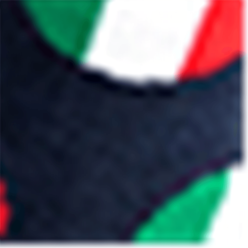 Fabiani Men's Italian Flag Black Dot Socks - Bash.com