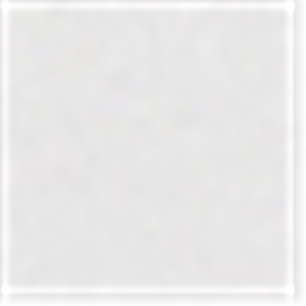 Fabiani Men's Embroidered White Shaft Socks | Bash