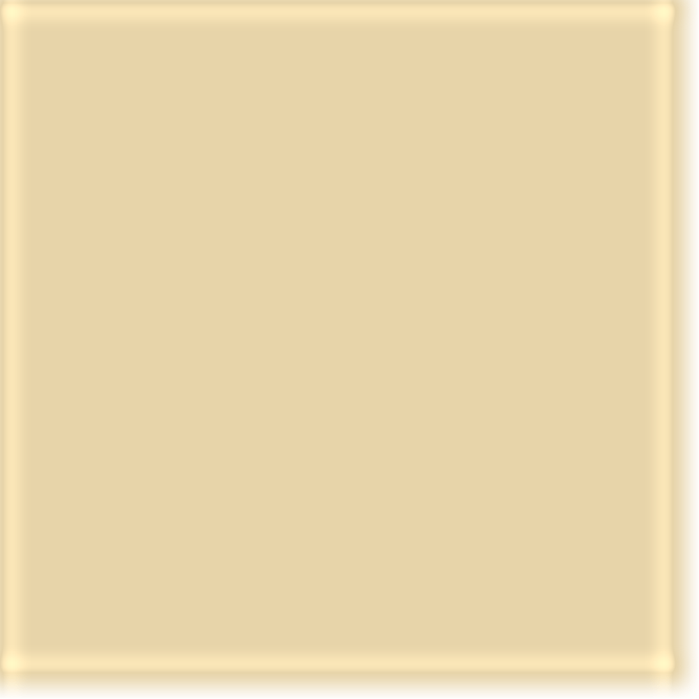 Tempo Ladies Gold Toned Bangle Watch | Bash