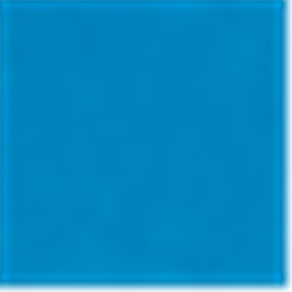 Fizique Yoga Block | Bash
