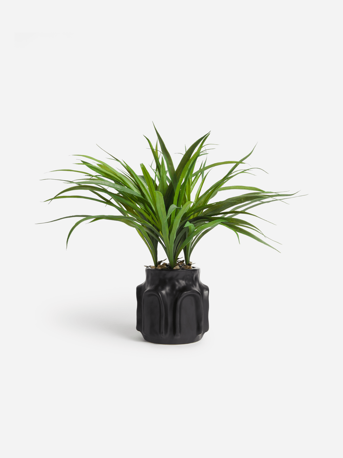 Jet Home Black Ceramic Plant | Bash