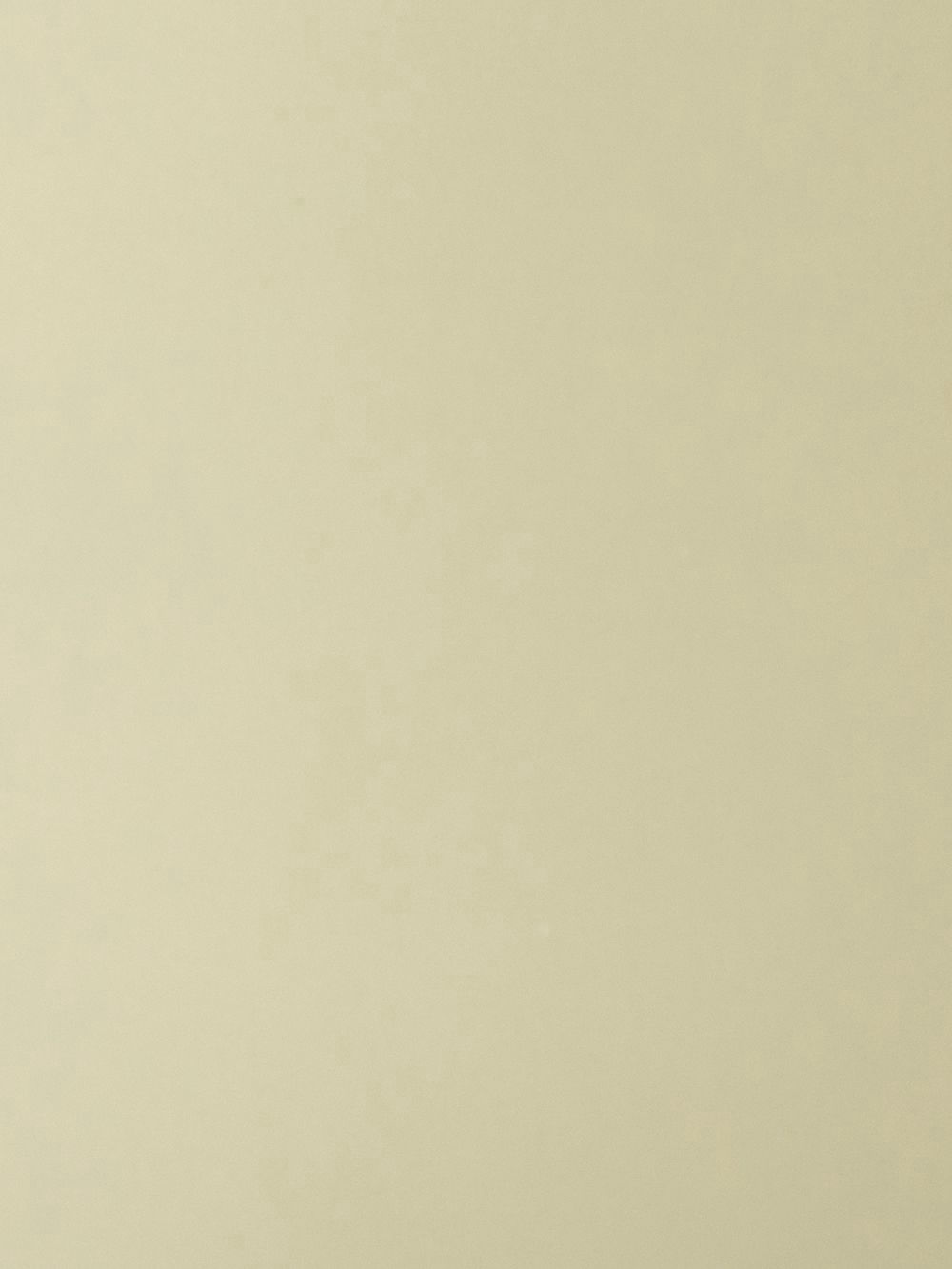 Noteworthy Diffuser Cream 200ml | Bash