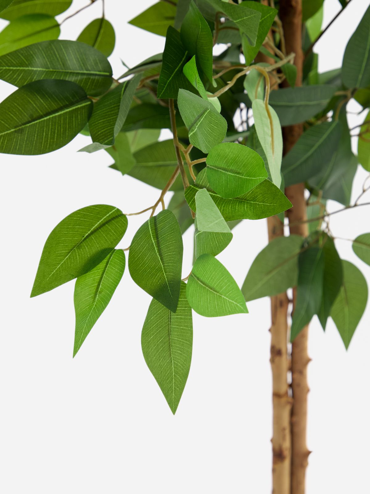 Jet Home Tall Tree | Bash