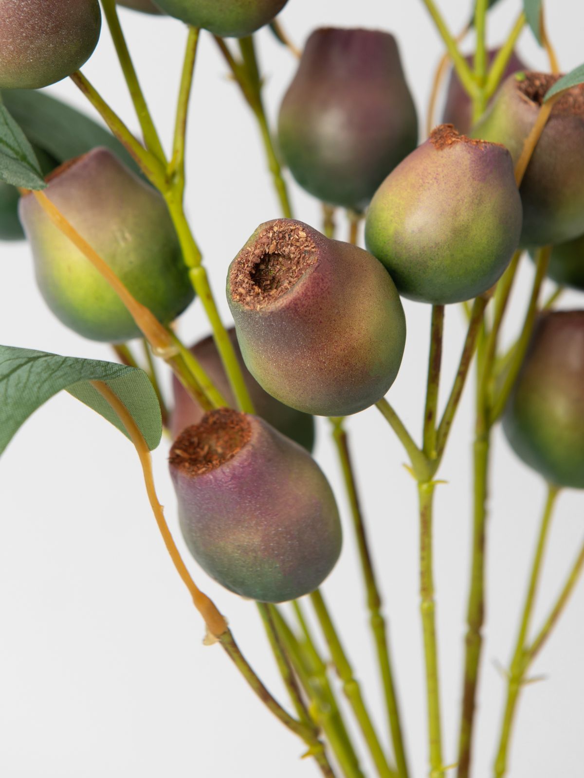 Faux Poppy Fruit Seed Bunch 55cm | Bash