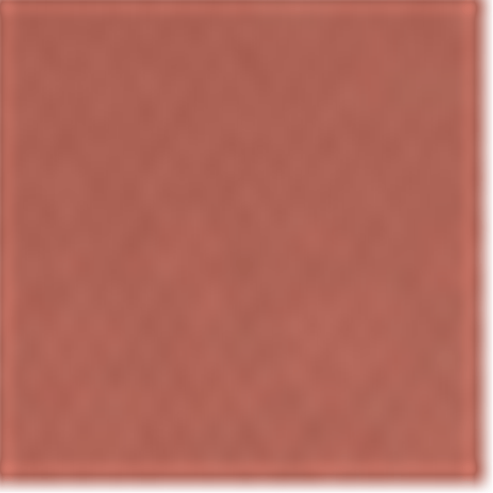 MAC Powder Blush | Bash