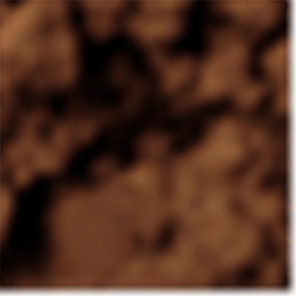 Black Opal True Color Soft Velvet Finishing Powder | Bash