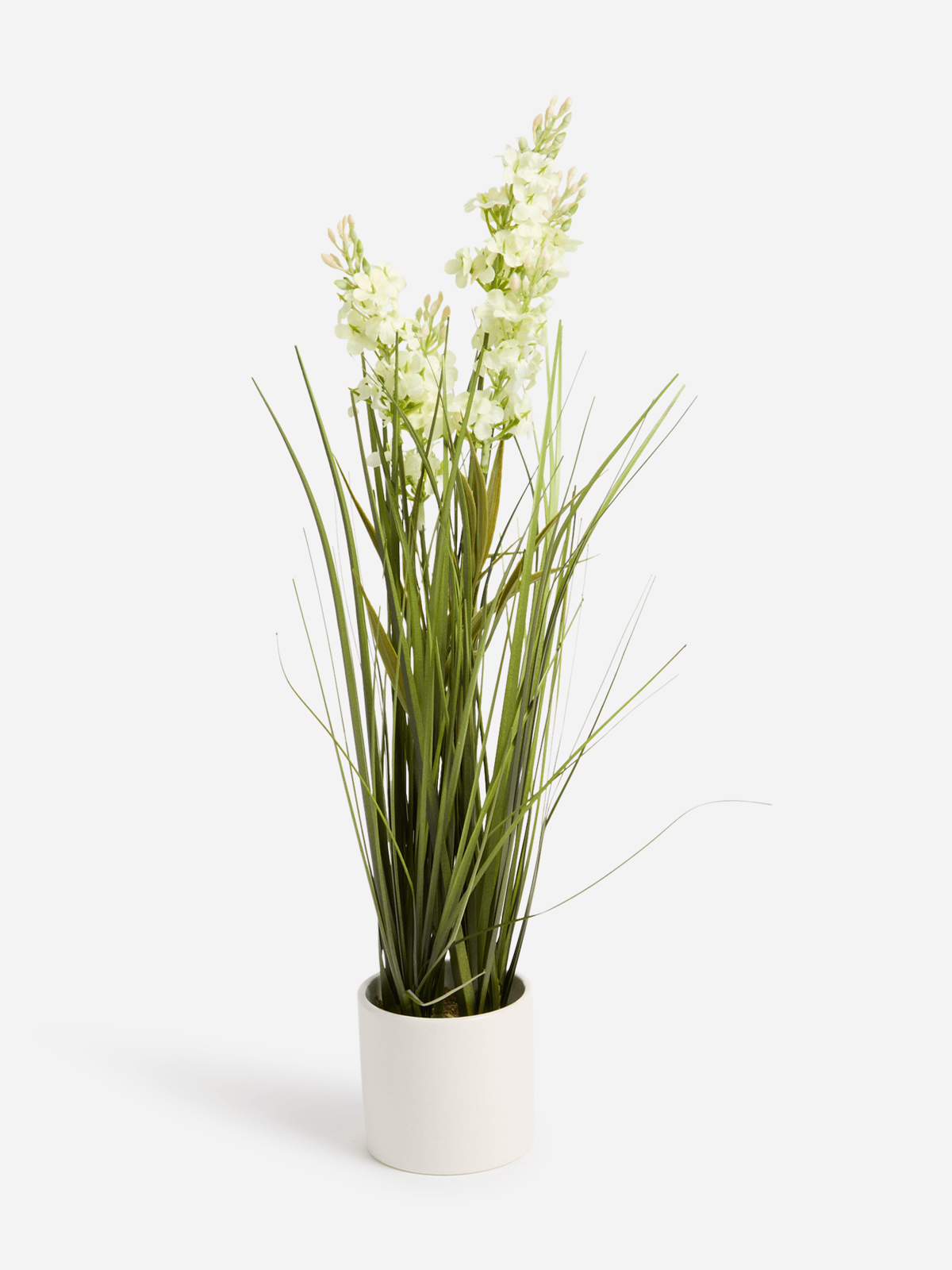 Jet Home White Yucca Flower In White Ceramic Pot | Bash